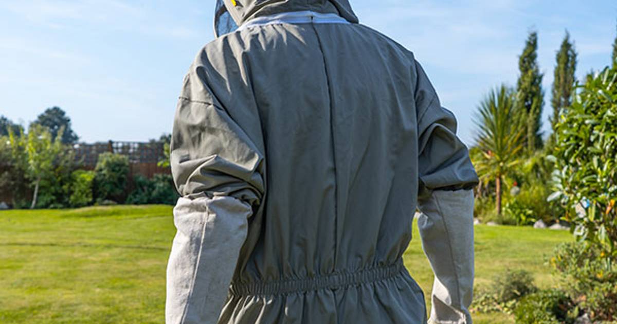Pest Control - Pest Control Near Me | Able Group