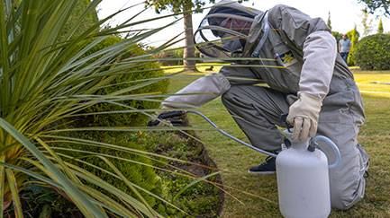 Pest Control - Pest Control Near Me | Able Group